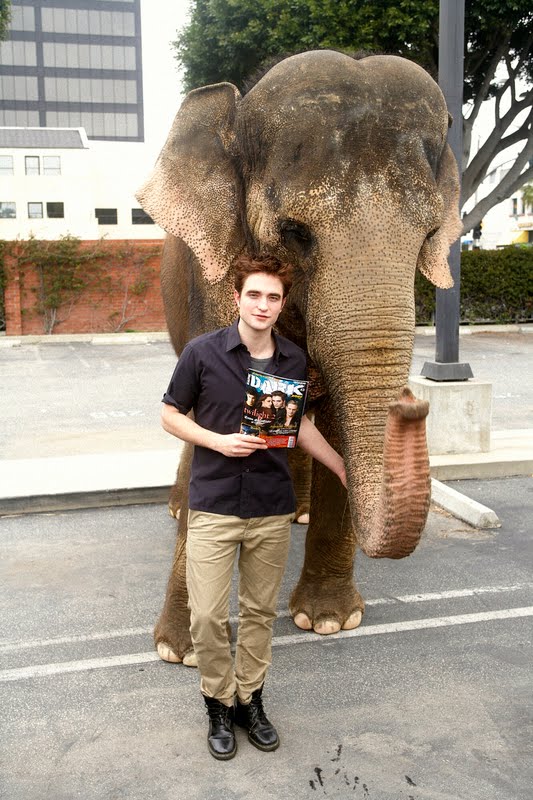 Robert Pattinson Australia » Blog Archive » Rob, Tai & A Magazine